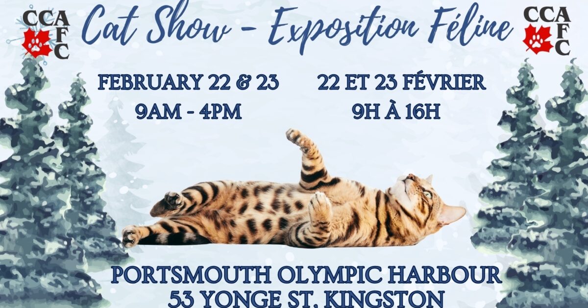 Visite Kingston | Kingston Cat Show