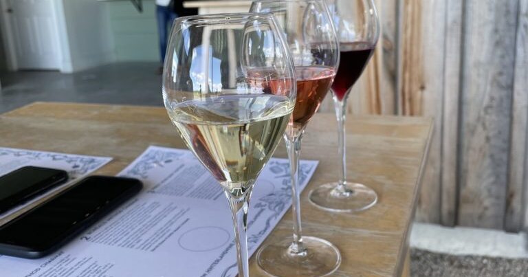 Visit Kingston | County Sips: A Wine Tour to Savour