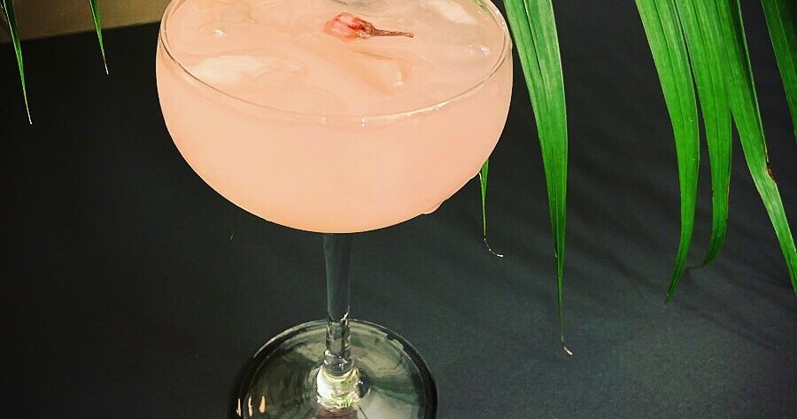 Visit Kingston | Kingston’s Best Cocktail Bars