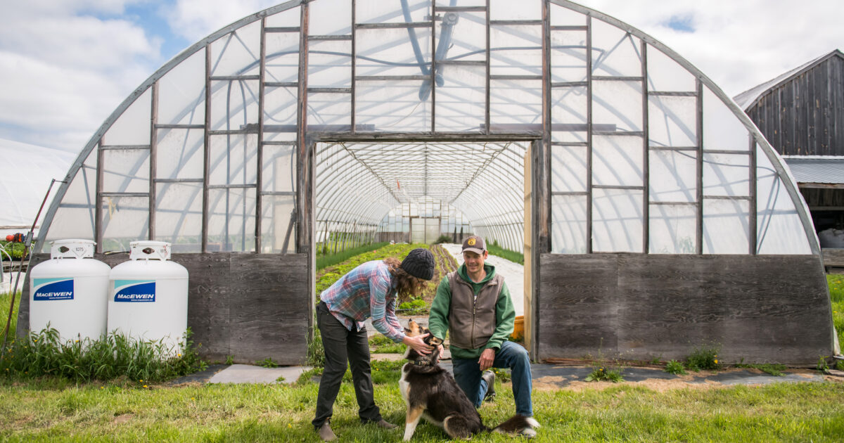 Visite Kingston | De la ferme à la table : Patchwork Gardens