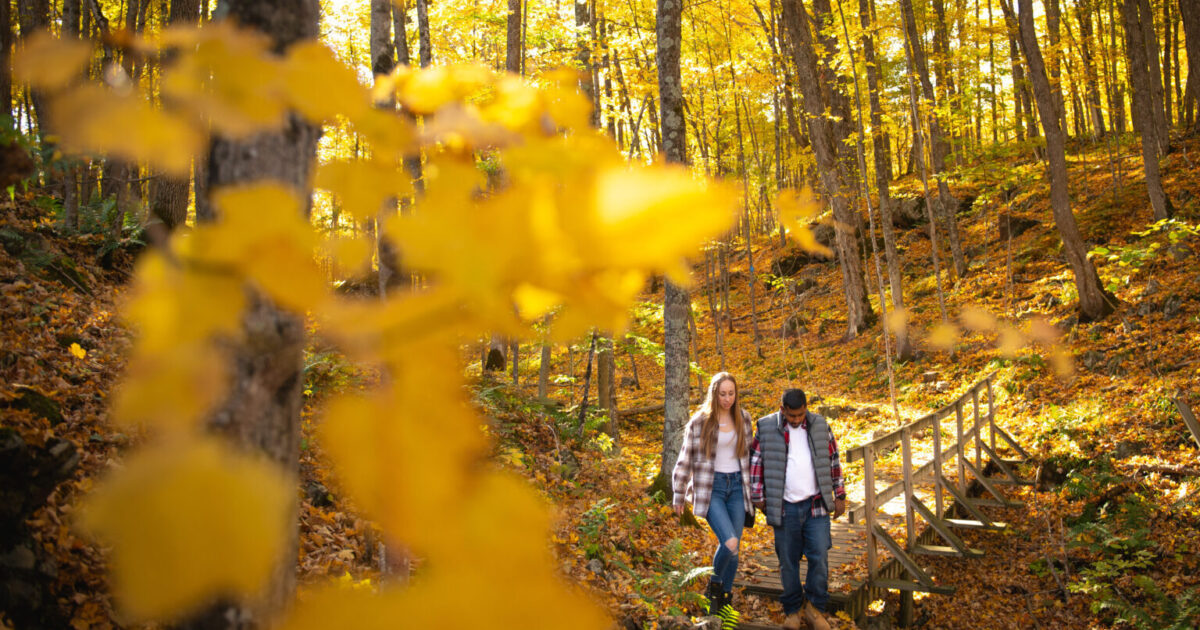 Visit Kingston | 6 Ways to See Kingston's Fall Colours