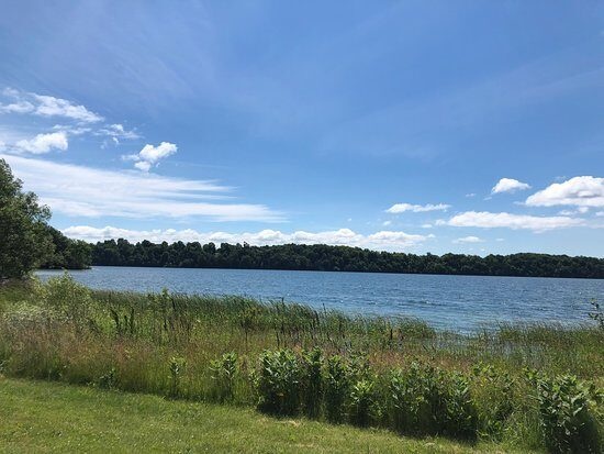 Visit Kingston | 5 must-visit Kingston beaches