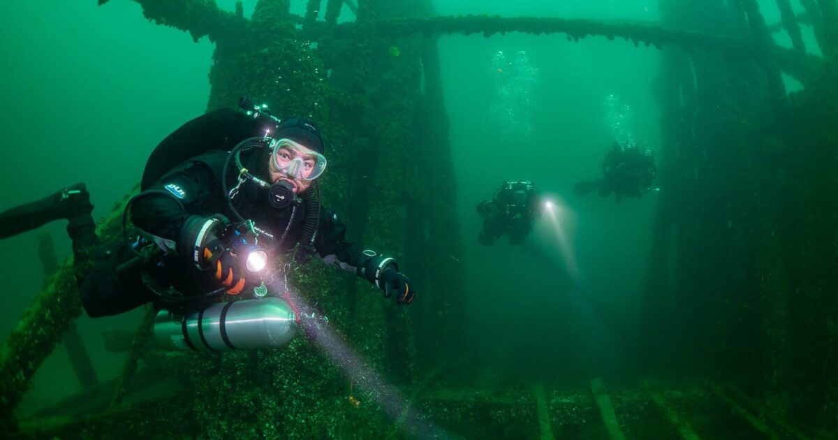 Visite Kingston | Dans les profondeurs avec Neptune & Salacia Diving